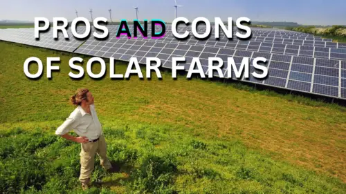 18 Pros And Cons Of Solar Farms | Are They Reliable? – Solars House